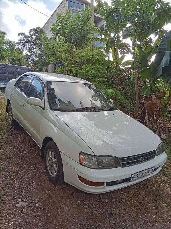 toyata corona – Adz.lk – Classified Ads & Directory Listing