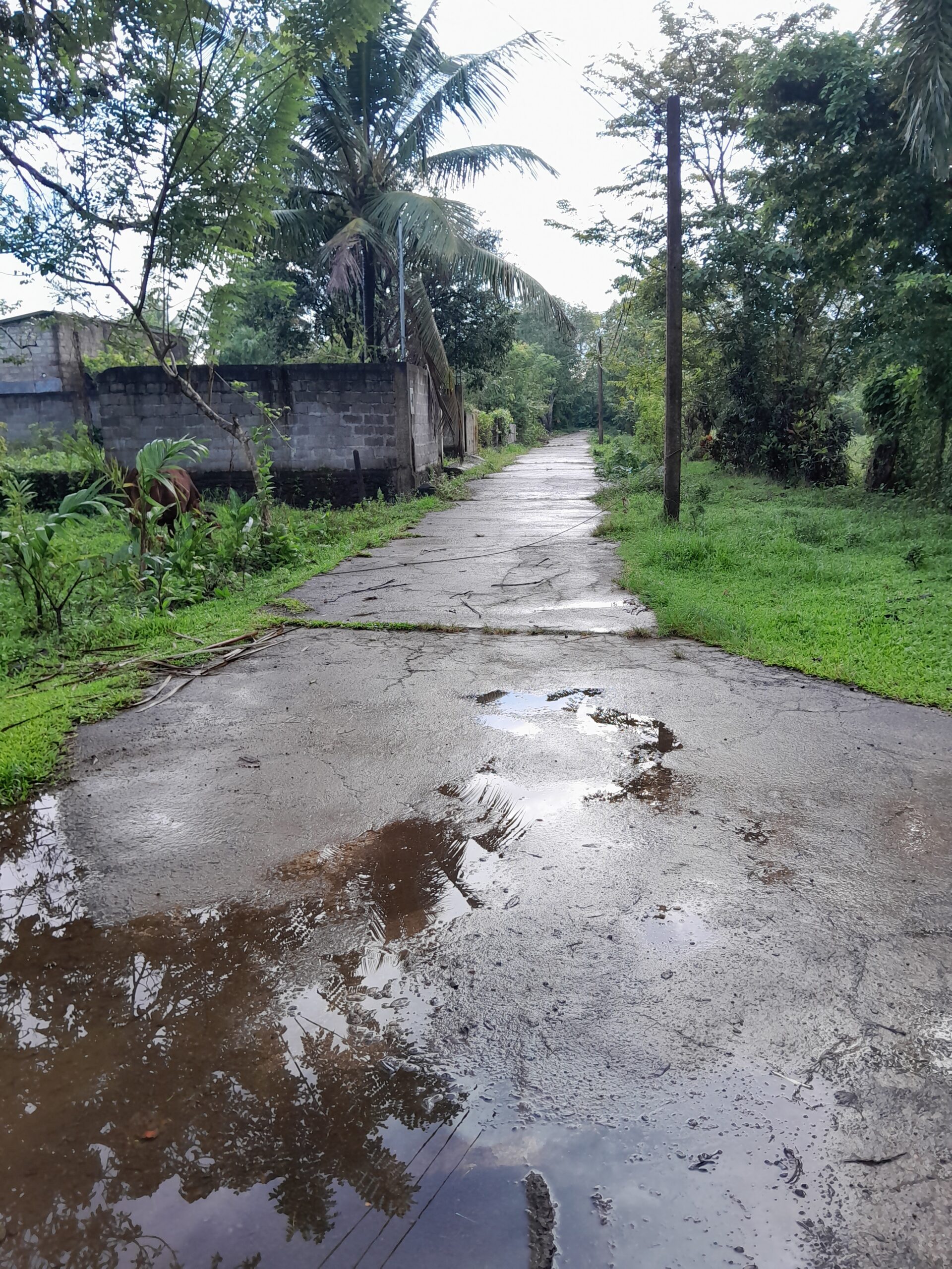 Bandaragama Lands – Adz.lk – Classified Ads & Directory Listing