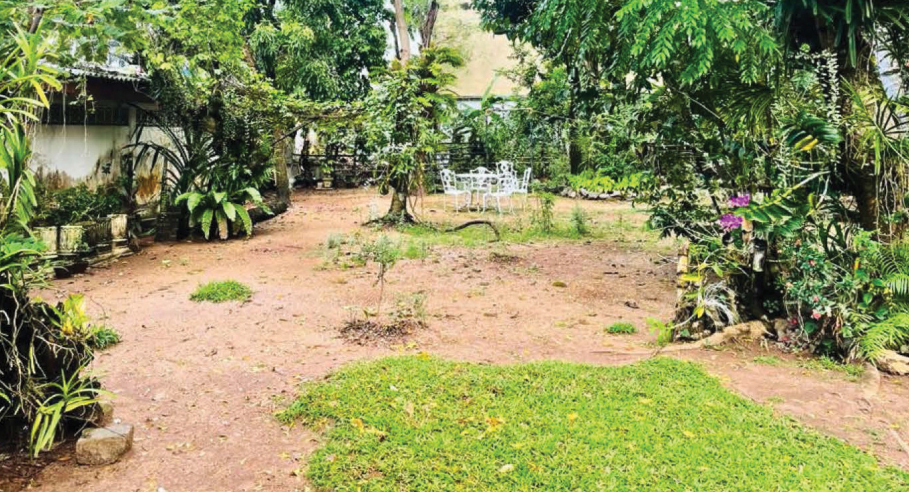 20 perches Land for sale – Adz.lk – Classified Ads & Directory Listing